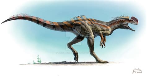 Kileskus Aristotocus By Finwalsmd On Deviantart