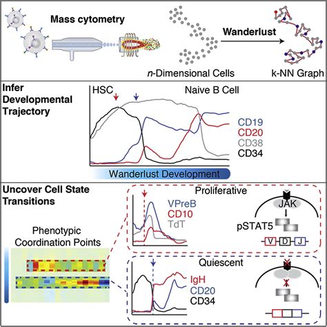 Single Cell Trajectory Detection Uncovers Progression And Regulatory