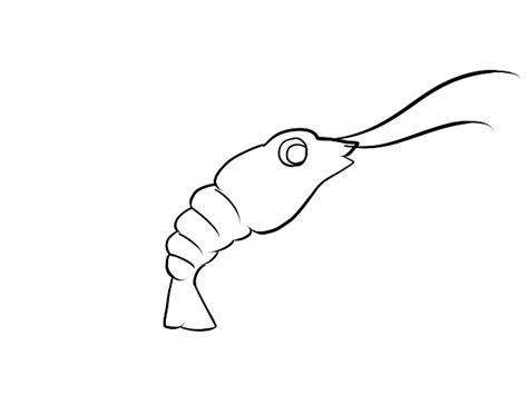 虾简笔画 天奇生活