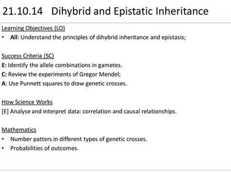 A2 Biology Inheritance 4 Dihybrid And Epistasis Teaching Resources