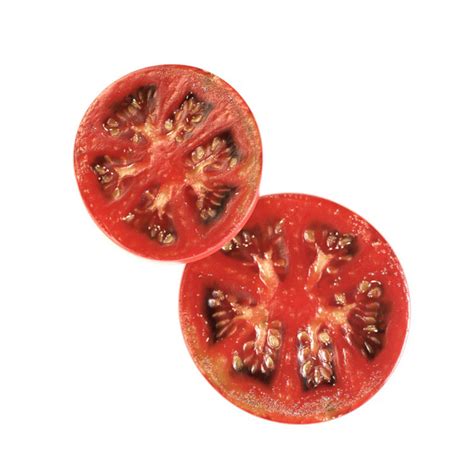 Tomato Slice 3d Model