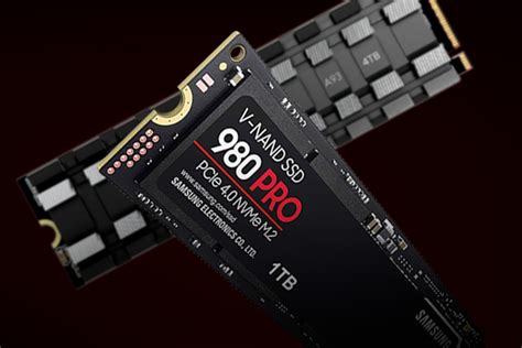 Buy Ssd In Sri Lanka Chama Computers