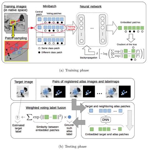 Learning Non Linear Patch Embeddings With Neural Networks For Label