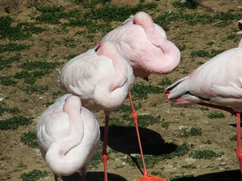 Passing The Blame By Woundrouspitiful On Deviantart