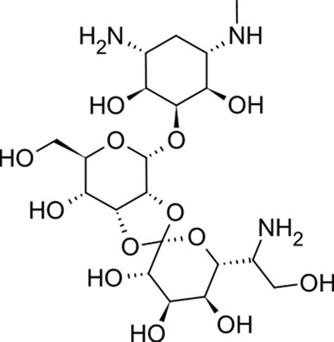 Hygromycin B Selection Antibiotic Toku E