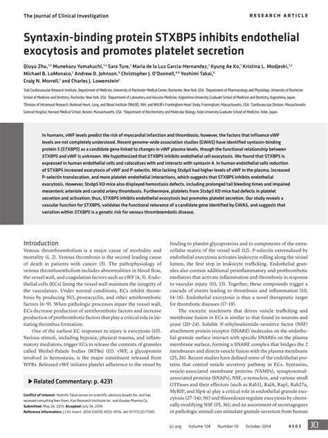 Pdf Syntaxin Binding Protein Stxbp5 Inhibits Endothelial Exocytosis And Promotes Platelet