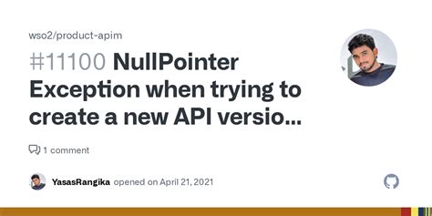 Nullpointer Exception When Trying To Create A New Api Version Providing