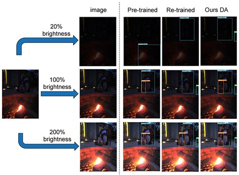 Bio Inspired Dark Adaptive Nighttime Object Detection
