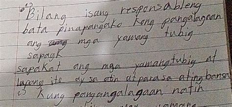 Bilang isang responsableng bata pinapangako | StudyX