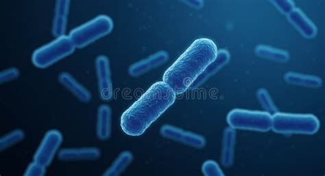 Blue Bacteria Dividing Microscopic View Of Cells Science Infection And Microbiology Detailed