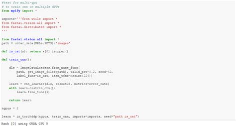 Multi GPU Error In CNN Part Fast Ai Course Forums