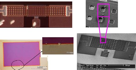 Sem Of Rf Mems Capacitive Switches After Esd Shows The Most Probable Download Scientific