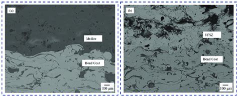 The Scanning Electron Microscope Picture Of Cross Sections Of The