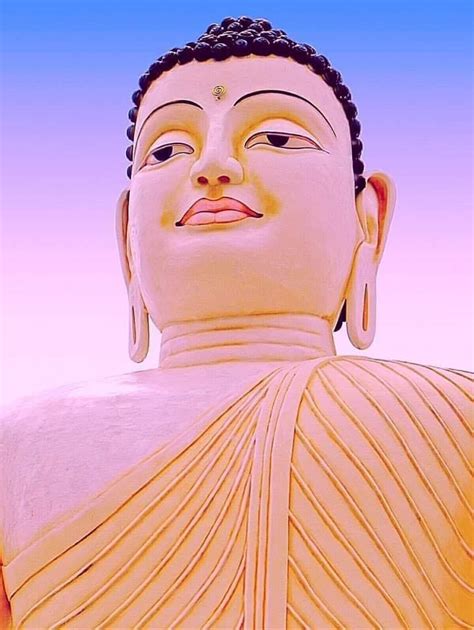 ☸ නෙත් සිත් පහන් සුරකිමු බුදු දහම