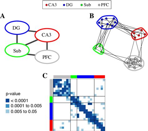 Torus Graph Analysis Of Coupling In 24 Dimensional Lfp Data With Four