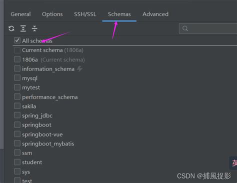 easycode自動化springboot的curd walkonnet