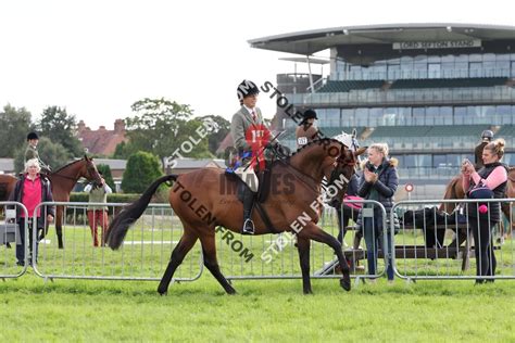 Sb66612 2023 1st Class Images