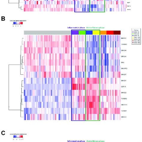 supervised hierarchical clustering of custom panels of genes across all