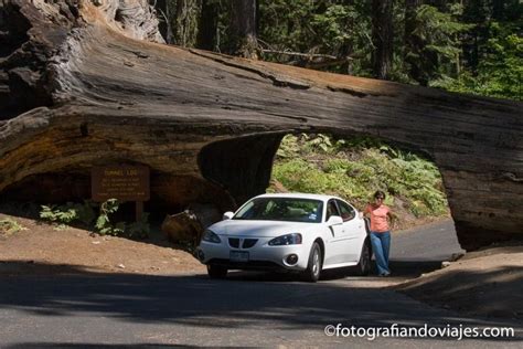 Parque Nacional Sequoia Y Kings Canyon Que Ver En Un Día