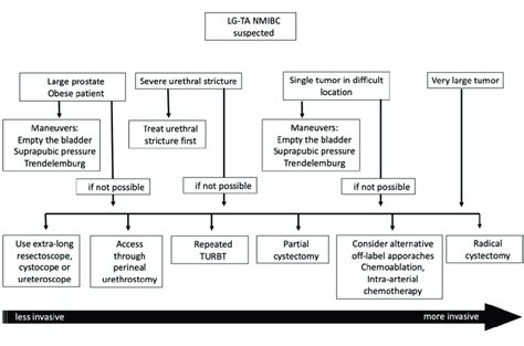Algorithm For Challenging Lg Nmibc Management Download Scientific Algorithm For Challenging Lg Nmibc Management Download Scientific