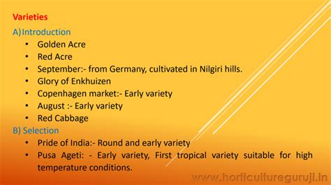 Cabbage Ppt Horticulture Guruji