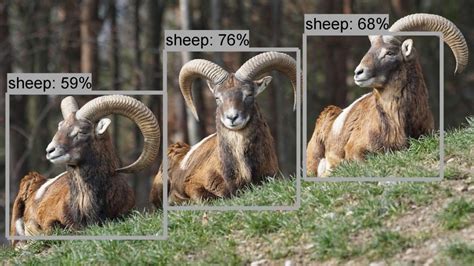 Tensorflow Object Detection Api 自動辨識物件教學 G T Wang