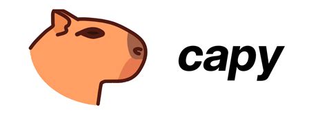 The Zig Language