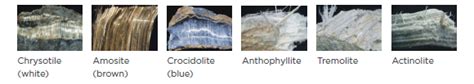 Management And Removal Of Asbestos Worksafe