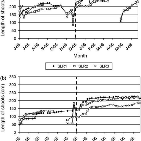 Above Ground Biomass Of Macrophytes As A Function Of Different Solid