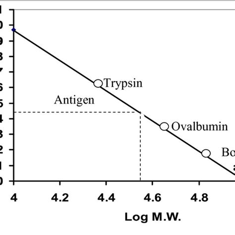 Elution Of Blue Dextran Standard Proteins And Antigen Fractions On