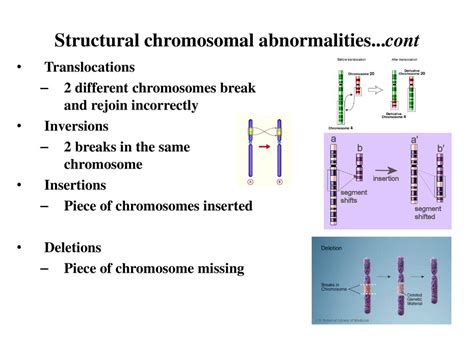 Structural Chromosomal Abnormalities