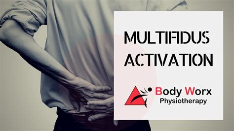 Multifidus Activation Low Back Pain Bodyworx Physio Newcastle Youtube