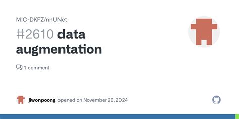 Data Augmentation · Issue 2610 · Mic Dkfznnunet · Github
