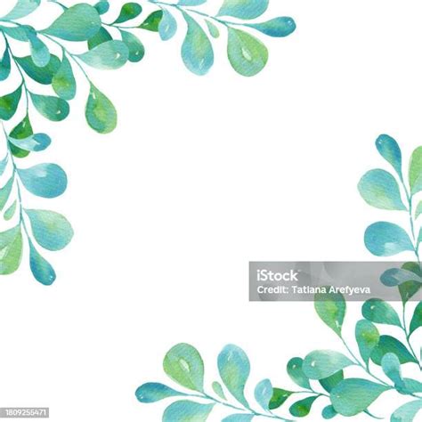 녹색과 파란색 잎이 있는 수채화 사각형 프레임 그림 스케치 녹색과 파란색 흰색 배경에 고립된 모서리 허브 장식 그라데이션
