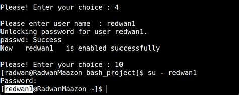 Github Radwanmaazonbashscript Iti Project