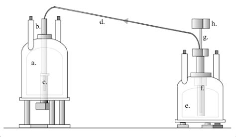 Dissolution Dnp Setup A Nmr Cryomagnet 7 05 T B Polarized Download Scientific Diagram
