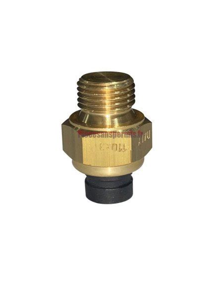 Probe Temperature Switch For Engine Lombardini Focs And Progress