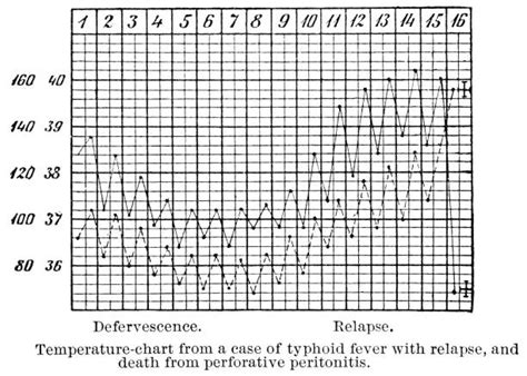 Typhoid Fever Illustrations Royalty Free Vector Graphics And Clip Art