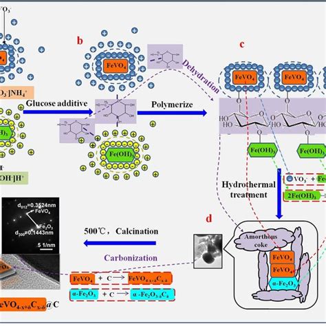 Phase Transformation Mechanism And Sample Evolution Processes Download Scientific Diagram