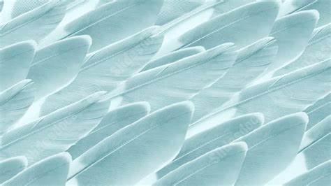 White Nature Flowers Watercolor Flower Pastel Powerpoint Background For Free Download Slidesdocs