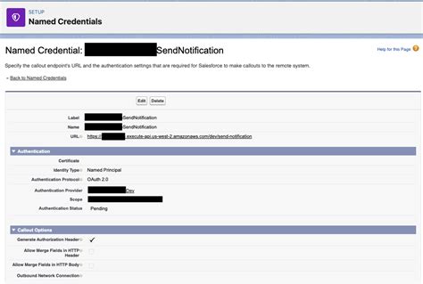 oauth2 making an api callout with amazon cognito client credentials