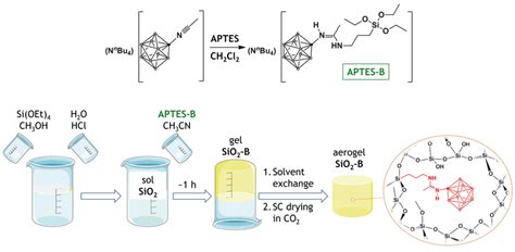The Synthesis Scheme For The APTES B Silylated Closo Borate And SiO2 B Download Scientific