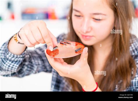 Schoolgirl In The School Robotics Laboratory With A Robot Model Stock