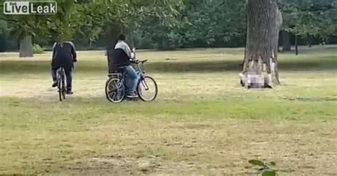 They Have Sex In The Park While Passers By Laugh And Wave Photo Telegrafi Telegrafi