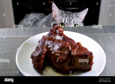 Roasted Cat