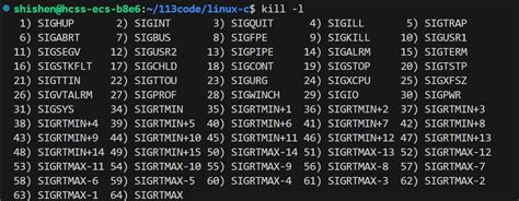 linux笔记 信号 上 csdn博客