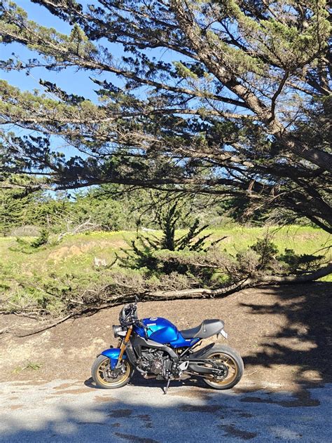 Newbie Question When Cleaning The Chain Do You Prefer To Remove The Chain Guard Rxsr900