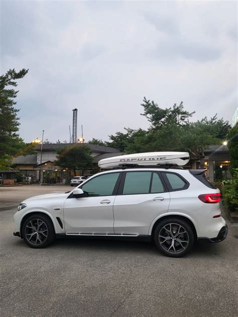 팩라인 Nx프리미엄 루프박스 화 당근 중고거래