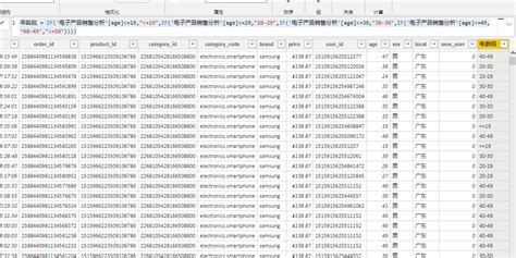 数据分析power Bi案例：电子商务公司年终复盘powerbi性别占比csdn Csdn博客