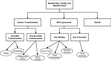 Biometric Template Protection Techniques Download Scientific Diagram